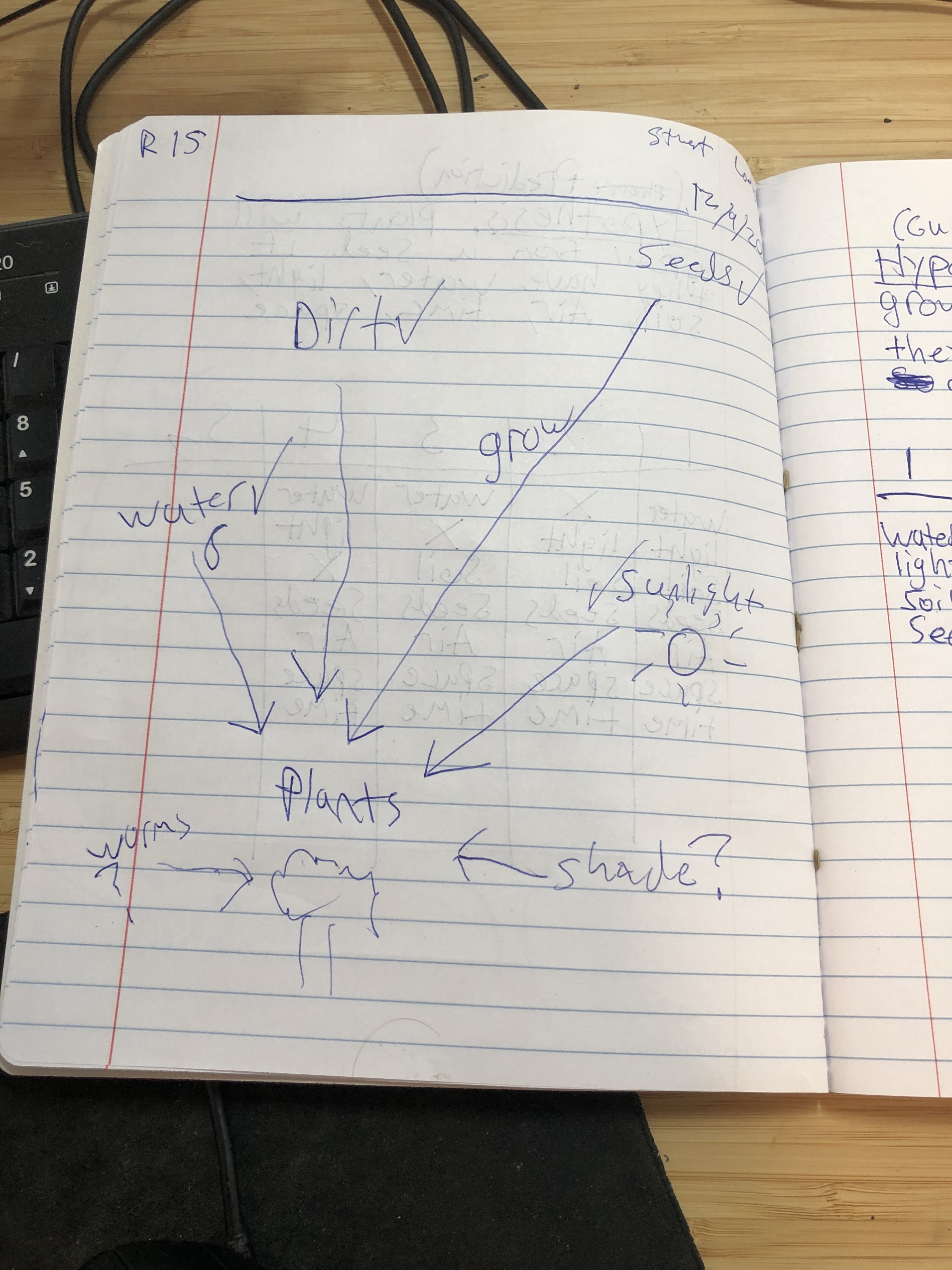 Plant Experiment Part 1 (upper grades) – Stuart Science